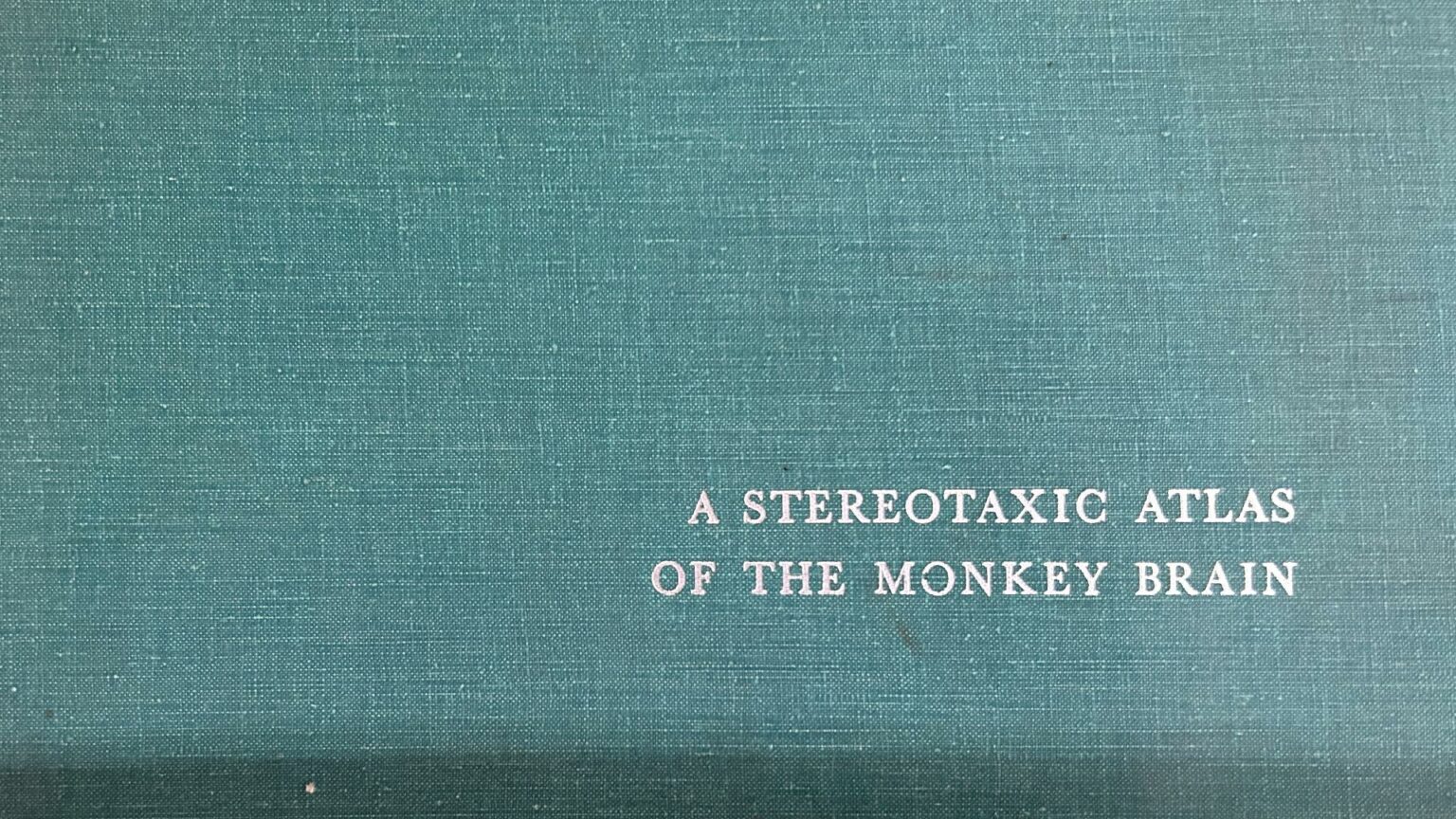 Homepage - Torlak Institute