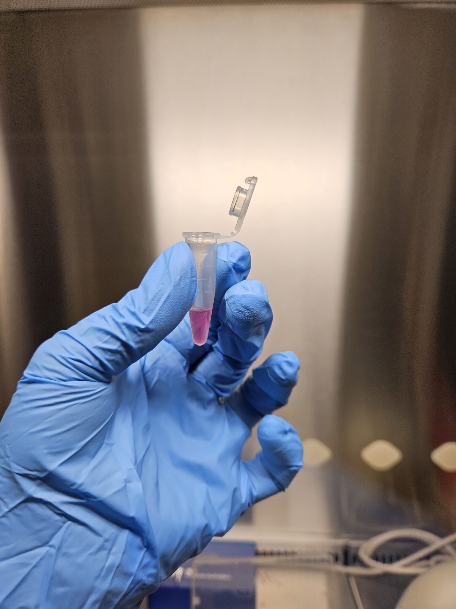 Homepage - Torlak Institute