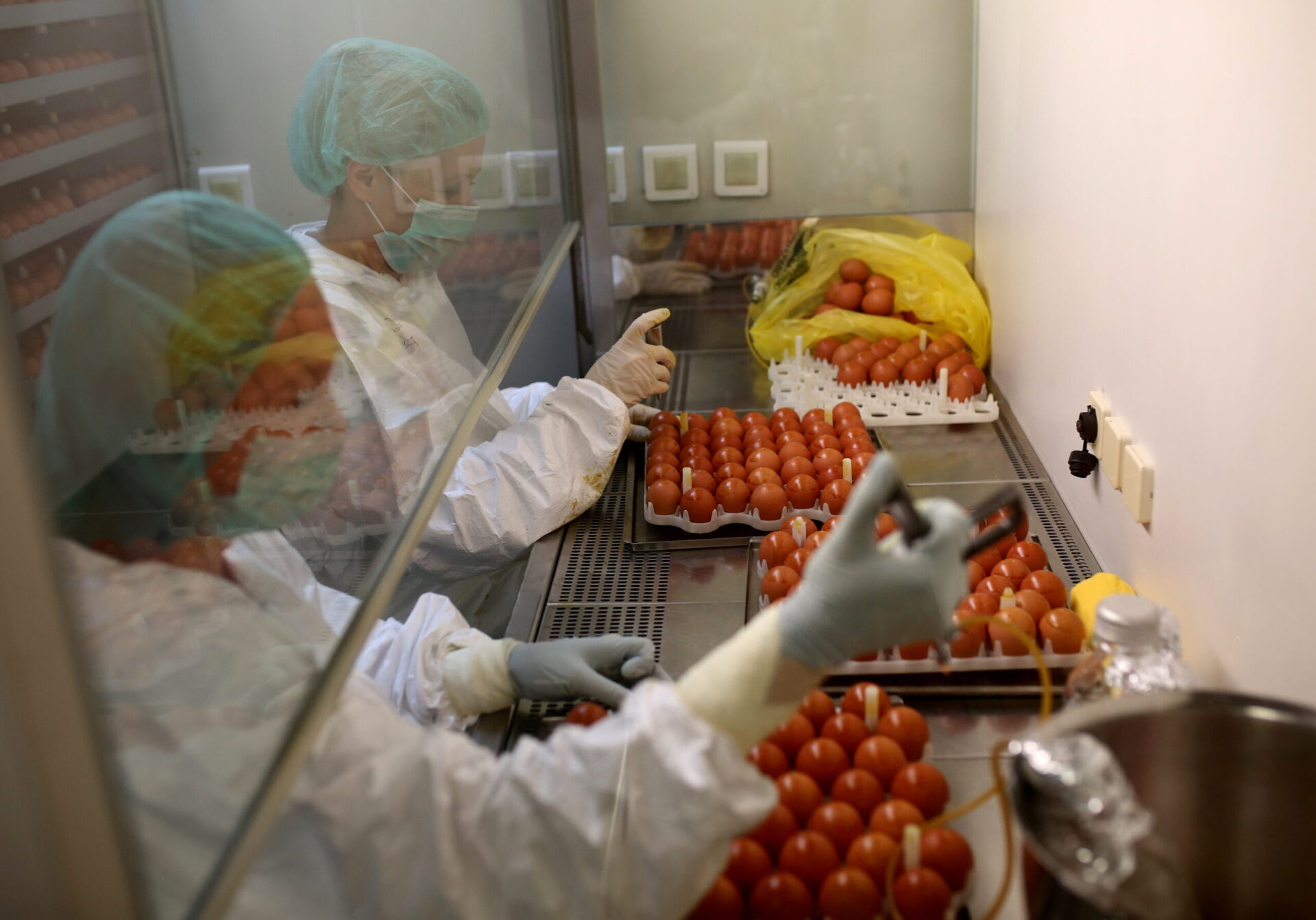 Homepage - Torlak Institute