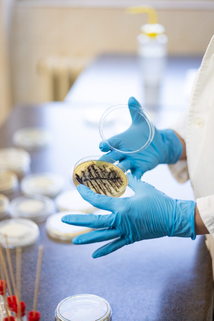 Microbiological culture media - Torlak Institute