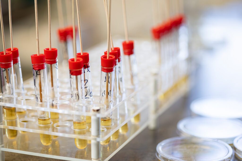 Homepage - Torlak Institute